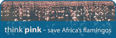 Amenazado el santuario de los flamencos