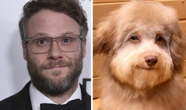 Seth Rogen responde a quienes le comparan con este este perro
