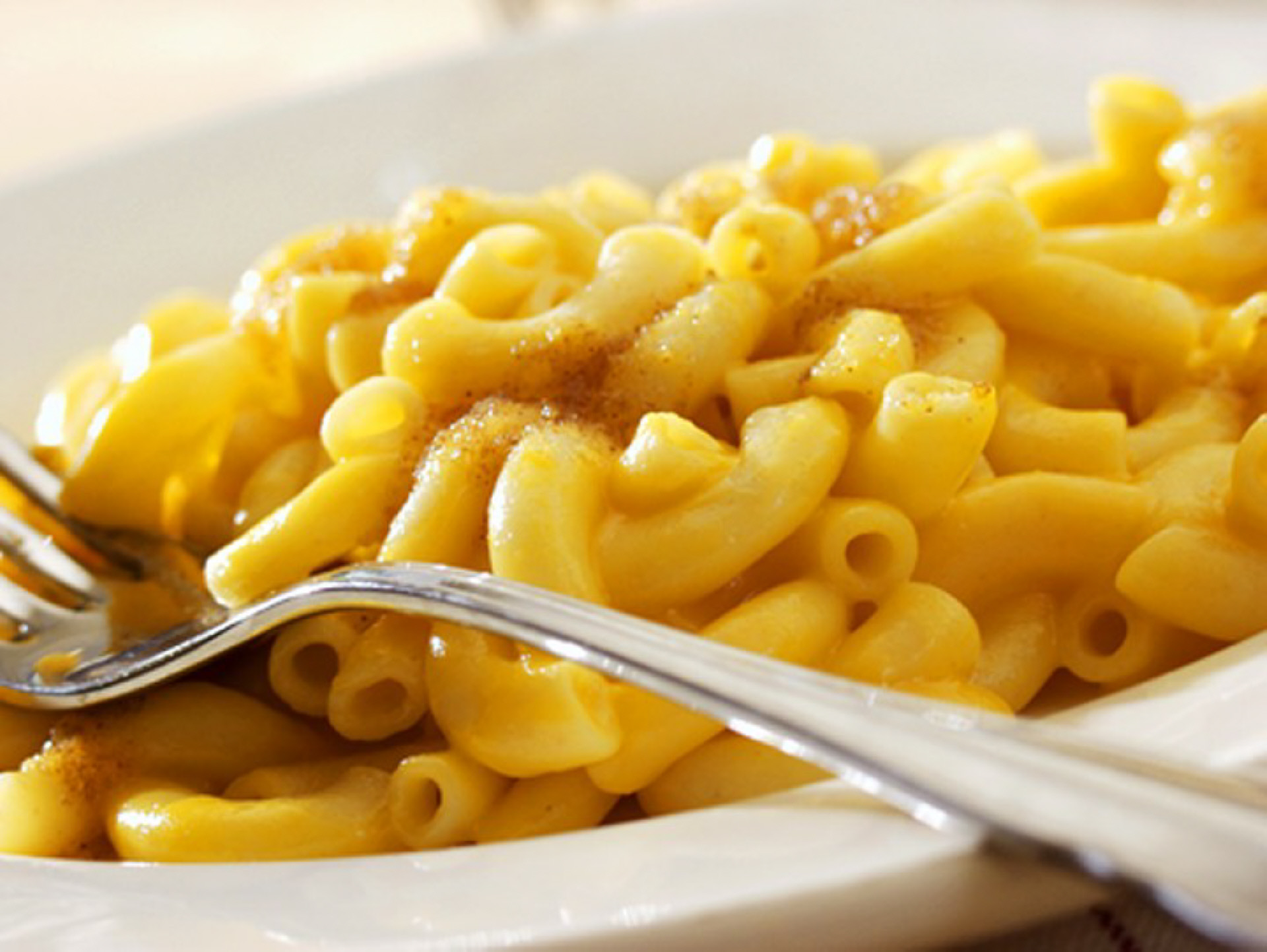 Receta de macarrones con queso