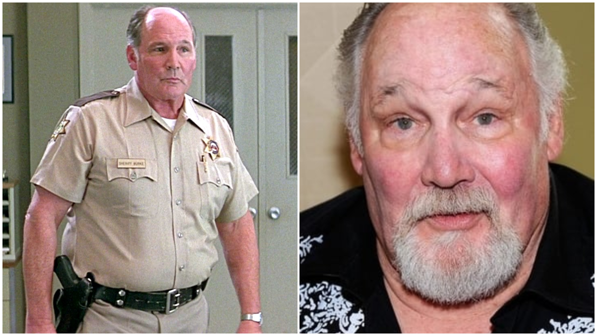 Fotos: 25 años de 'Scream': así han cambiado los habitantes de ...