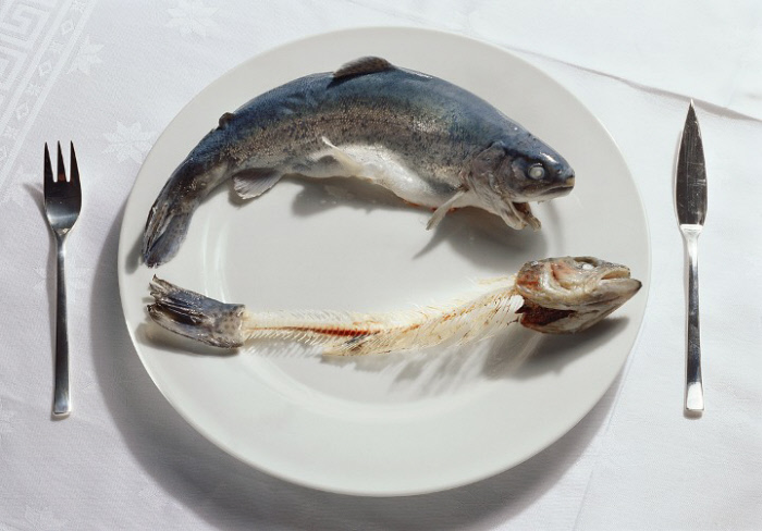 Cómo aprovechar las espinas de pescado: una deliciosa receta de que te ...