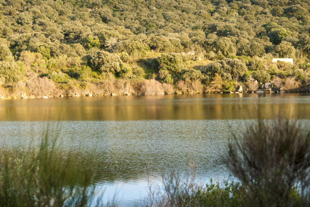 Fotos: 20 ríos, parques naturales y embalses perfectos para hacer ...