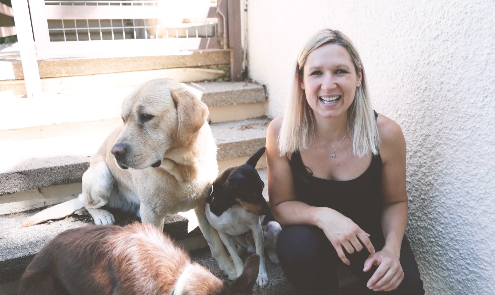 Así debes dar comida a tu perro con la mano para evitar sustos y ...