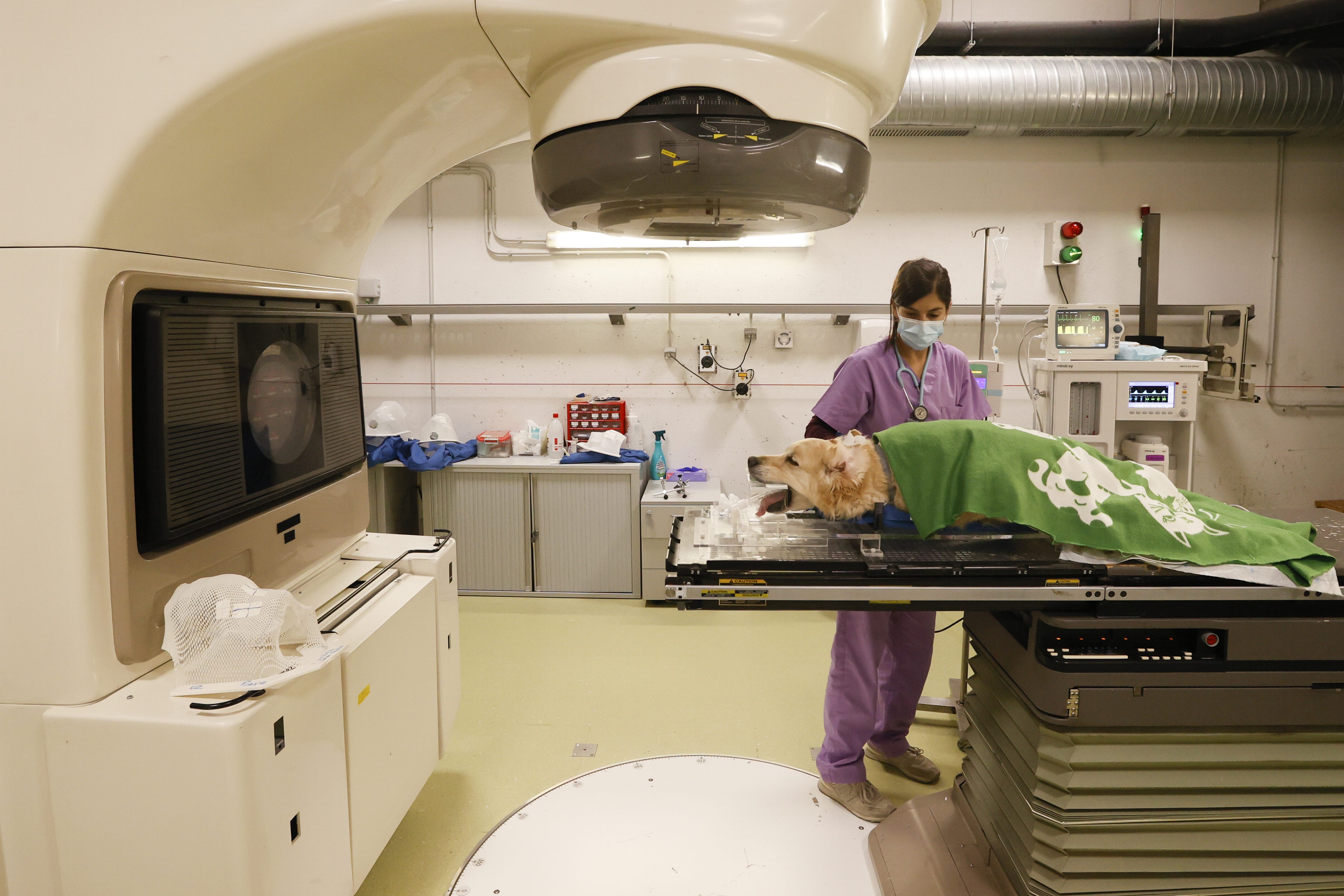 El 'búnker' veterinario de la Universidad de Santiago, referente en ...