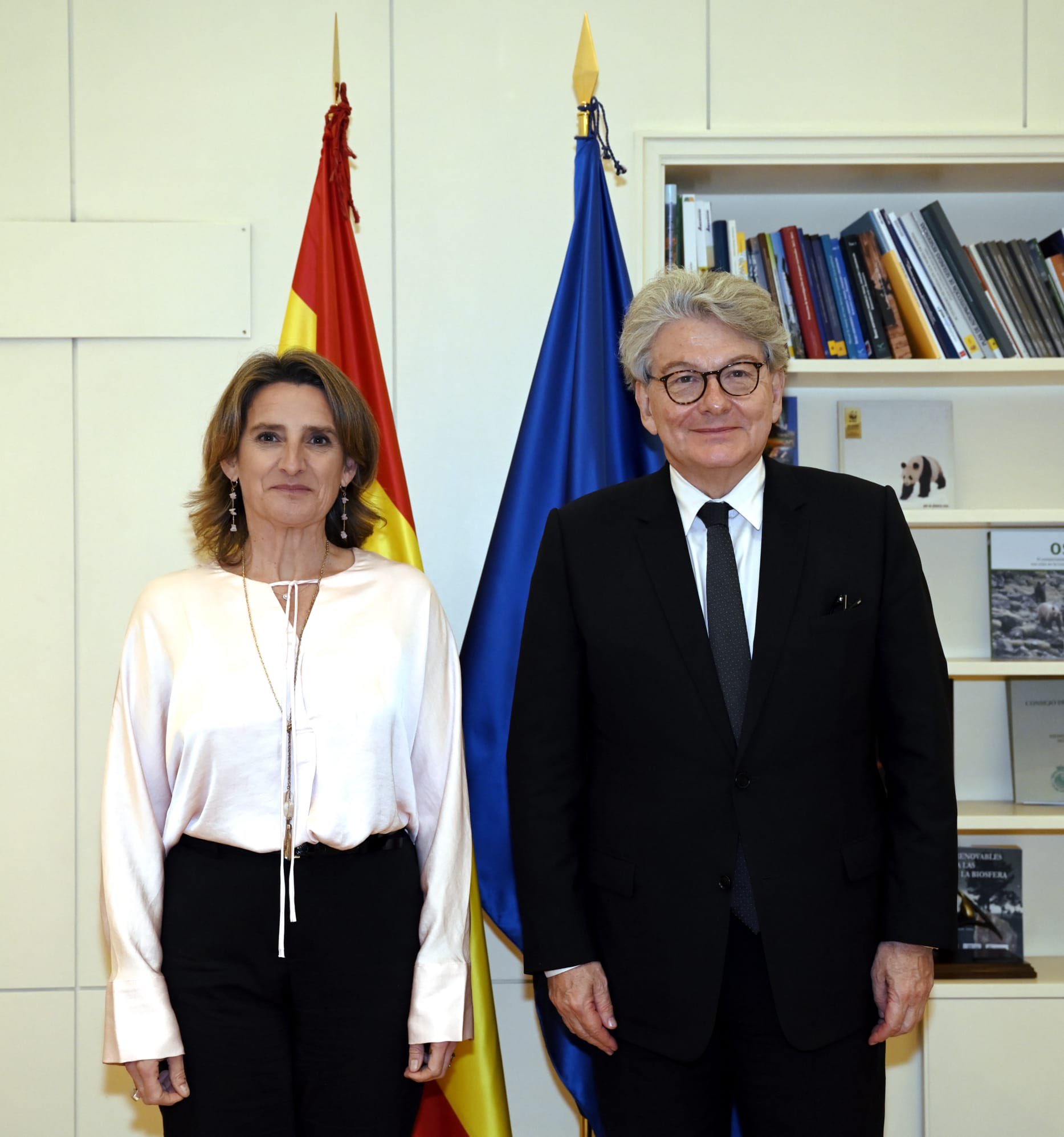 El Gobierno busca un nuevo mercado eléctrico de la UE más regulado, con ...