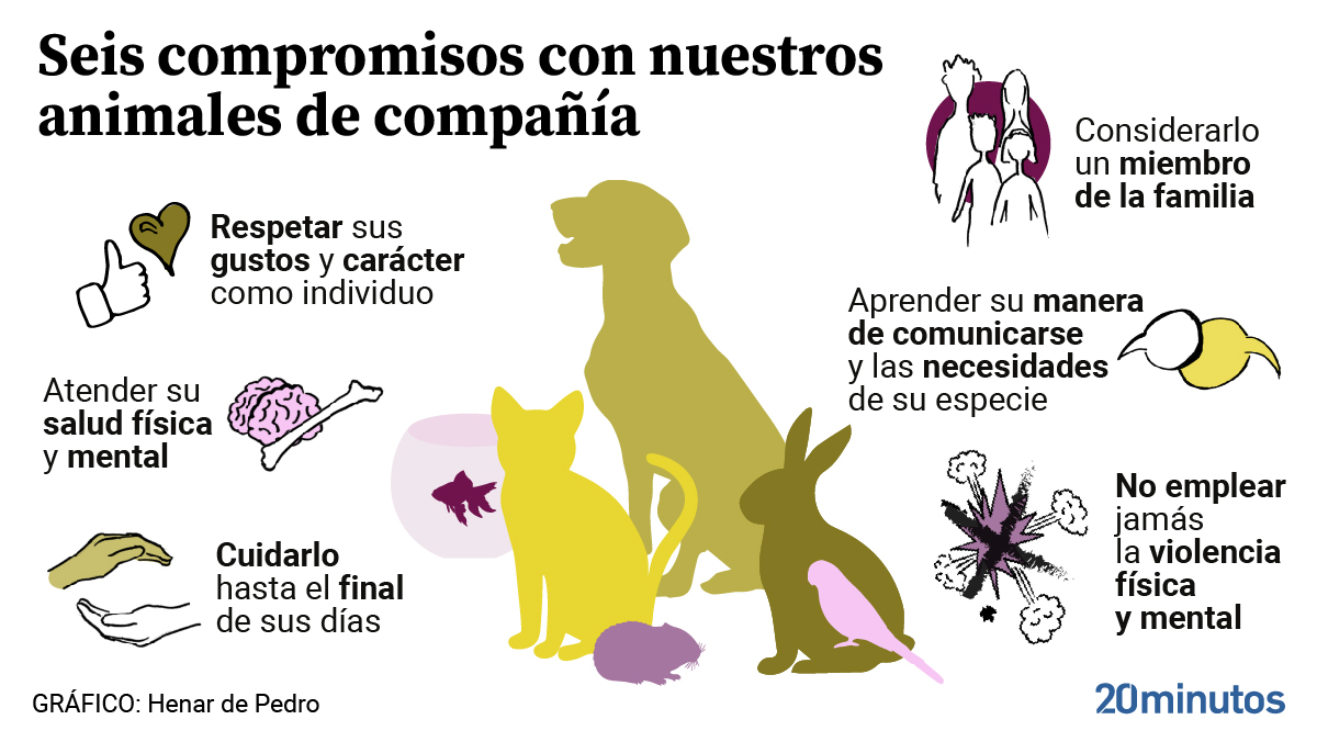 Fotos: Ocho gráficos con los que cuidar y comprender mejor a tu gato ...