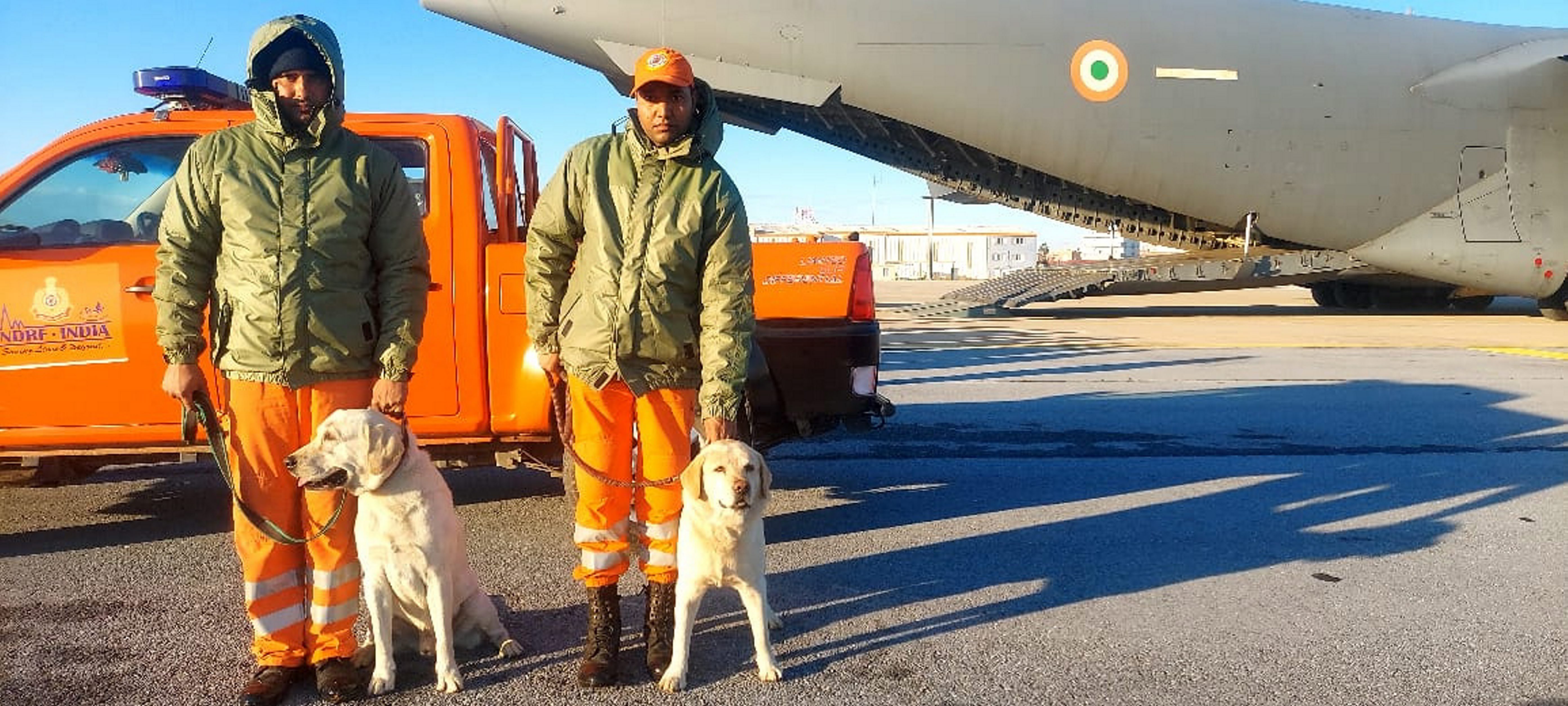 Fotos: Perros de rescate de todo el mundo acuden a Turquía, así es cómo ...