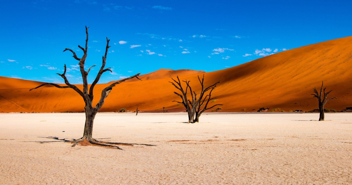 Fotos: Los 10 lugares más raros del mundo que merece la pena visitar ...