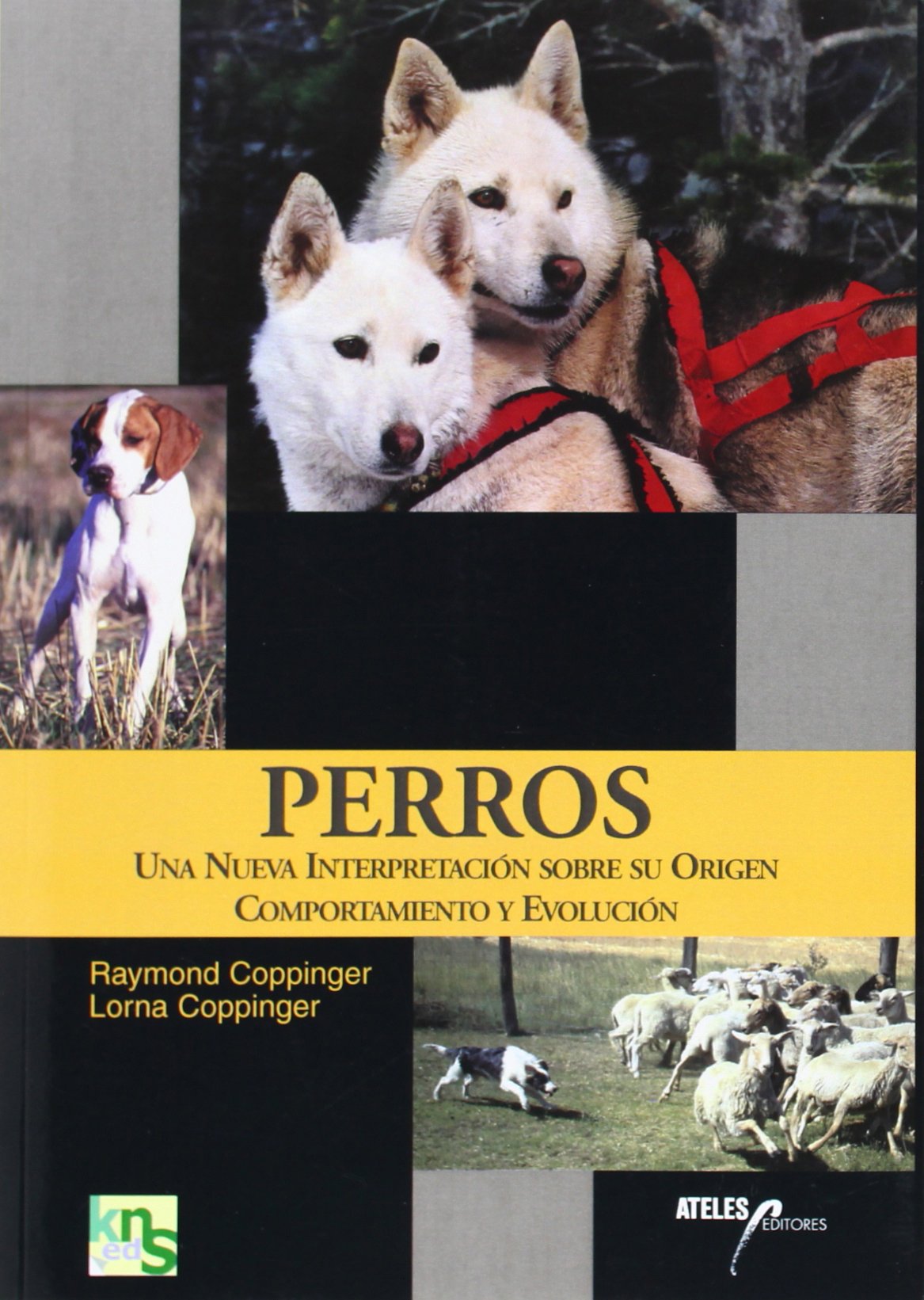 Diez libros para entender mejor a nuestros perros y reforzar el vínculo ...