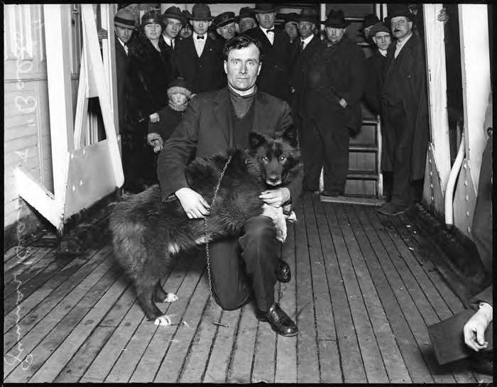 Reconstruyen el genoma de Balto, el perro de trineo que salvó Alaska de ...