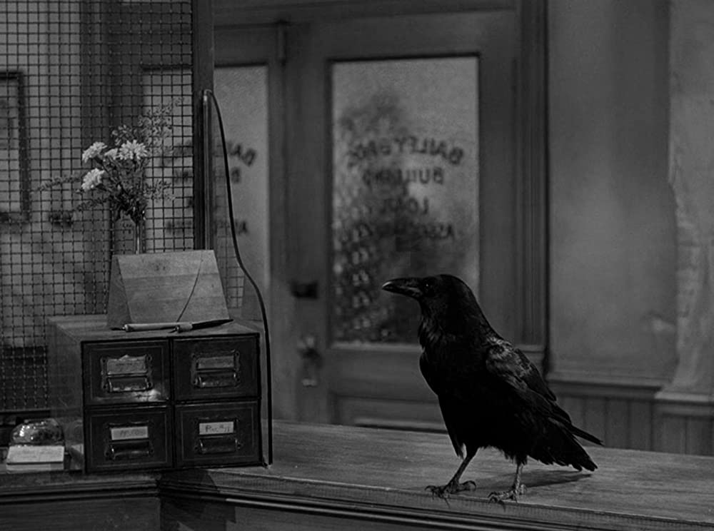 Mascotas de película: los animales de compañía más memorables de la ...