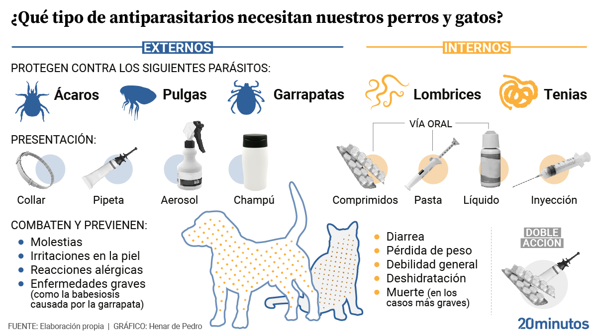 Los antiparasitarios externos e internos en perros y gatos: tipos, para qué sirven y cuándo se ...