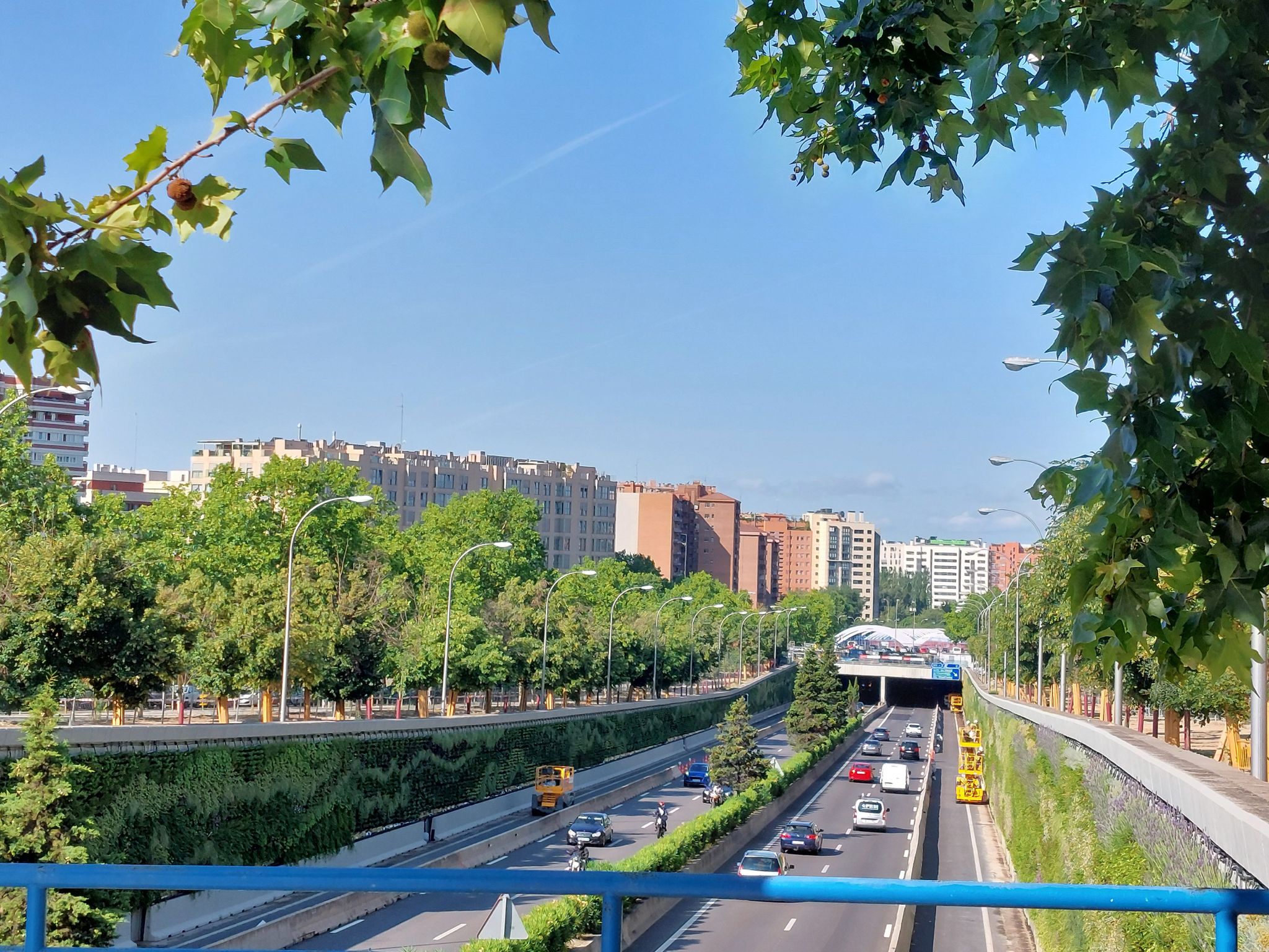 Almeida remata su experimento de plantar jardines en los muros de un ...