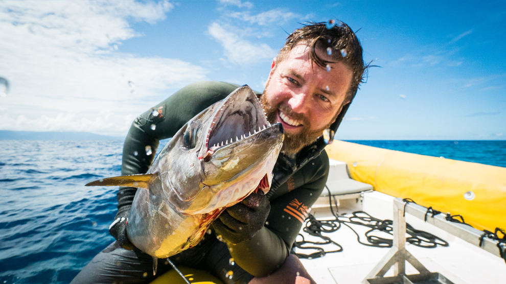 El extraño tiburón que es capaz de cazar fuera del agua y caminar sobre ...