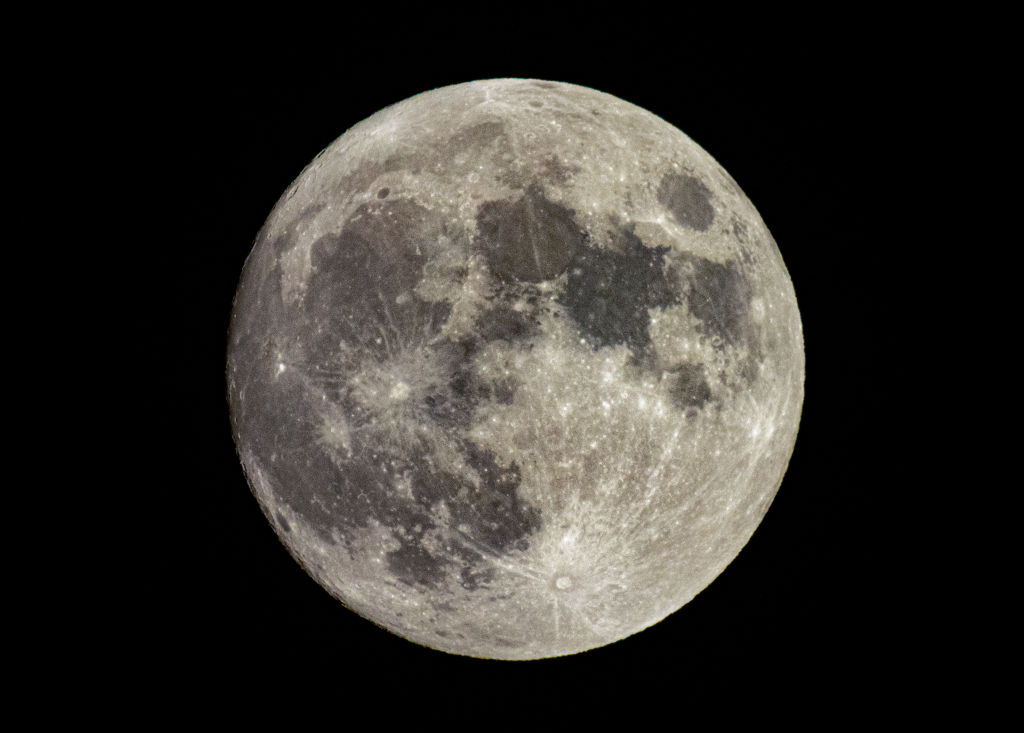 Cuándo y cómo ver la luna llena de noviembre 2024: ¿por qué se llama ...