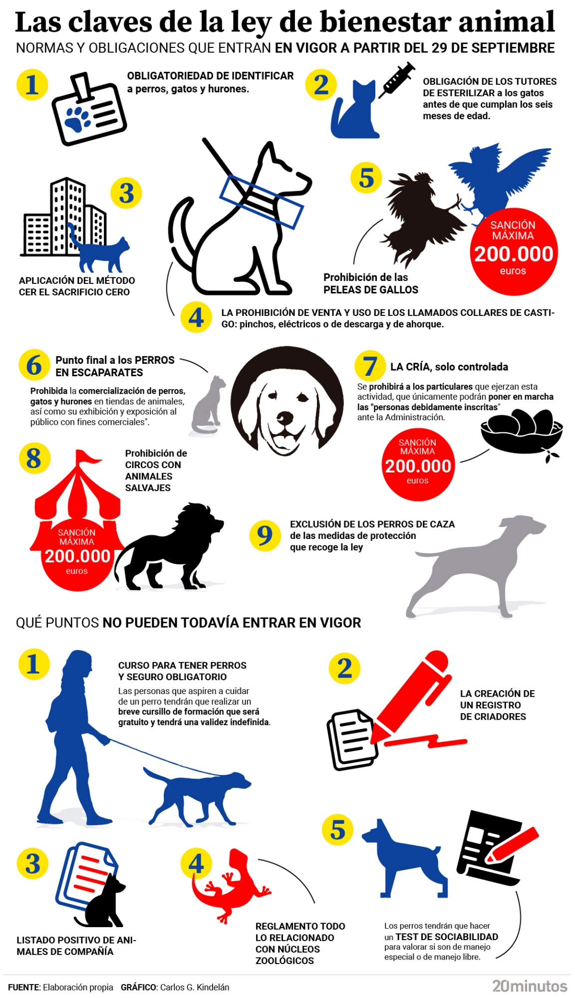 La ley de Bienestar Animal entra en vigor: estas son las nuevas normas y lo que aún falta por ...
