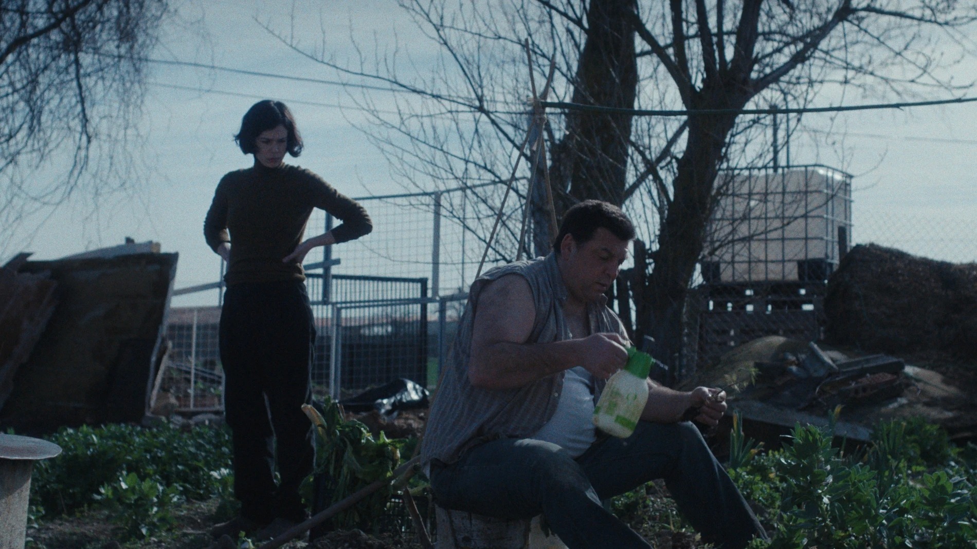 'Un amor', de Sara Mesa a Isabel Coixet: diferencias y semejanzas entre ...