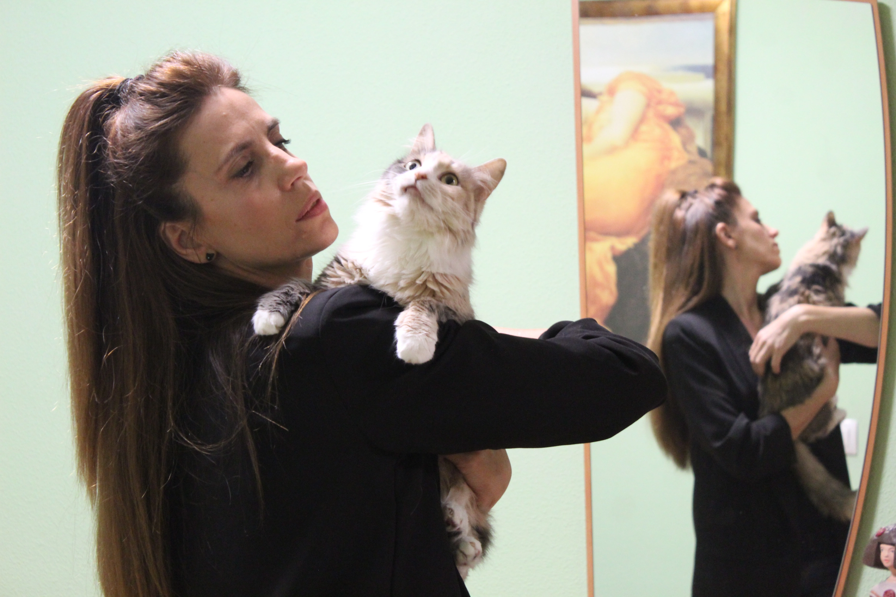 María Tello, escritora: "Invito a la gente a luchar por esos gatos en ...