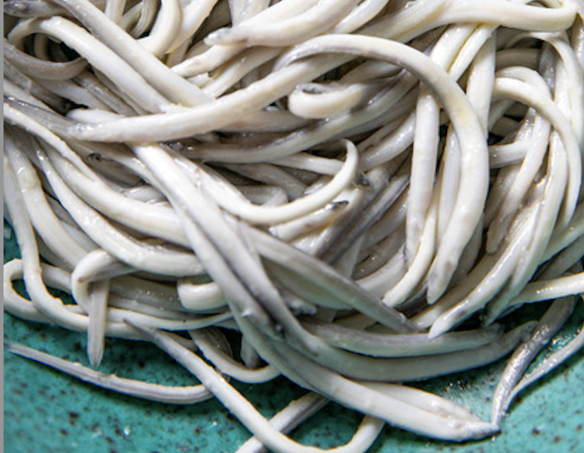 ¿Por qué son tan caras las angulas? Consejos del chef para cocinar esta ...