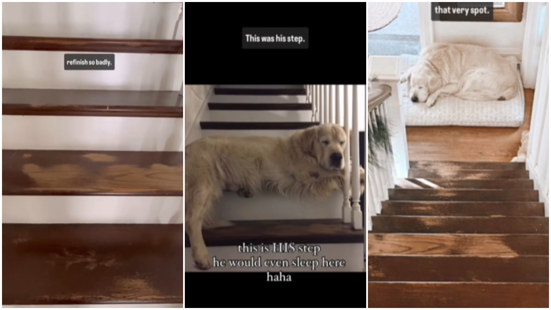 Emociona a millones de personas con un precioso homenaje al escalón ...