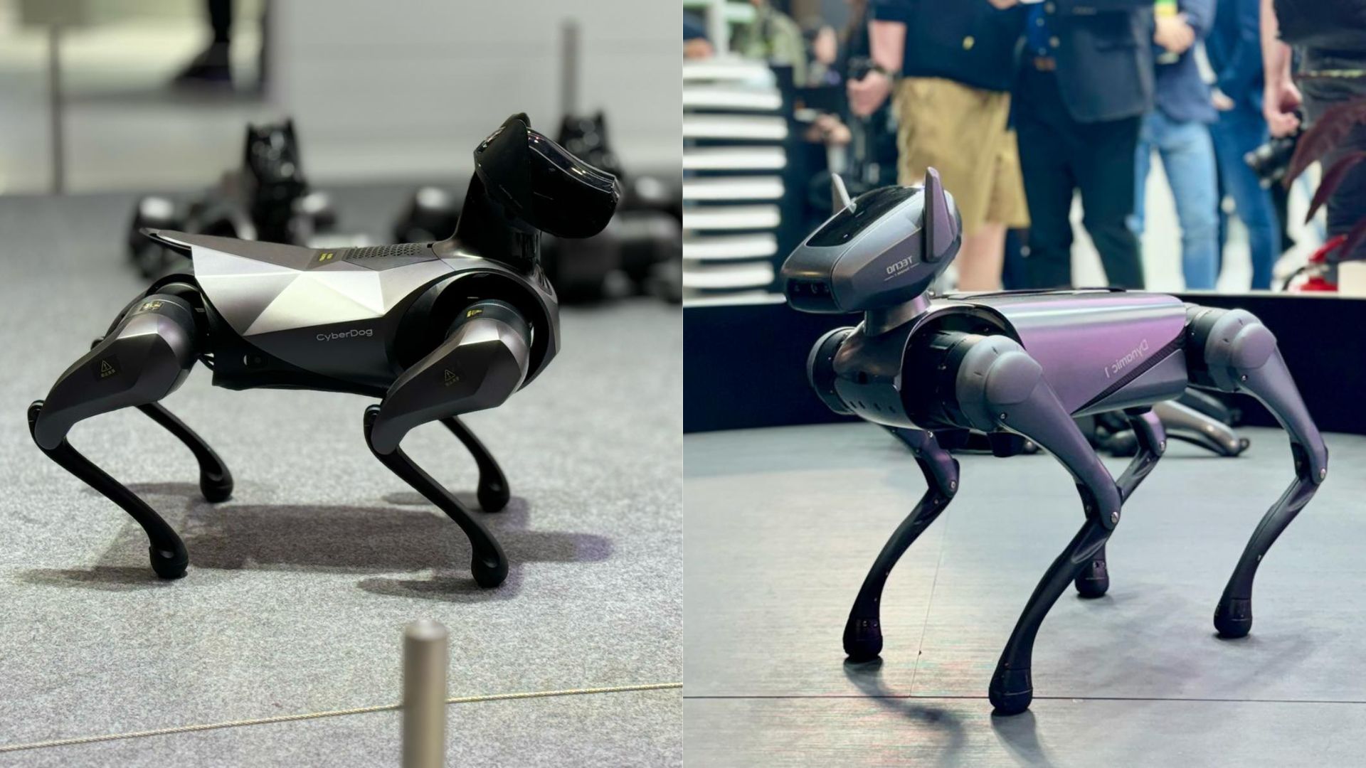 MWC 2024: los 'robodogs' toman Barcelona con el CyberDog 2 de Xiaomi y ...