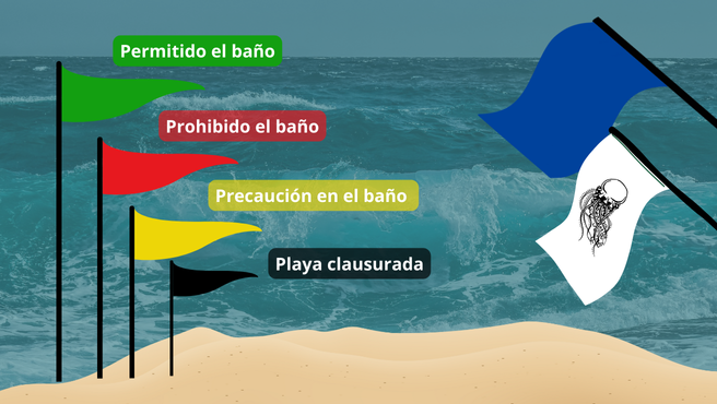 ¿Qué significan los colores de las banderas de las playas en España ...