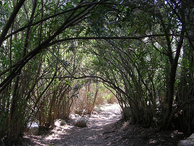 La ruta de senderismo en Jaén por un río con una cueva natural y el ...