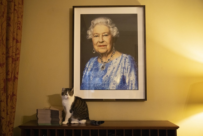 Así es Larry, el gato que ha sobrevivido a cinco primeros ministros en ...