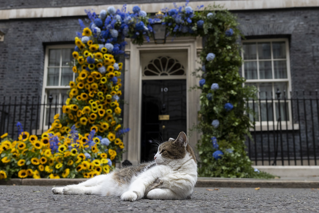 Así es Larry, el gato que ha sobrevivido a cinco primeros ministros en ...