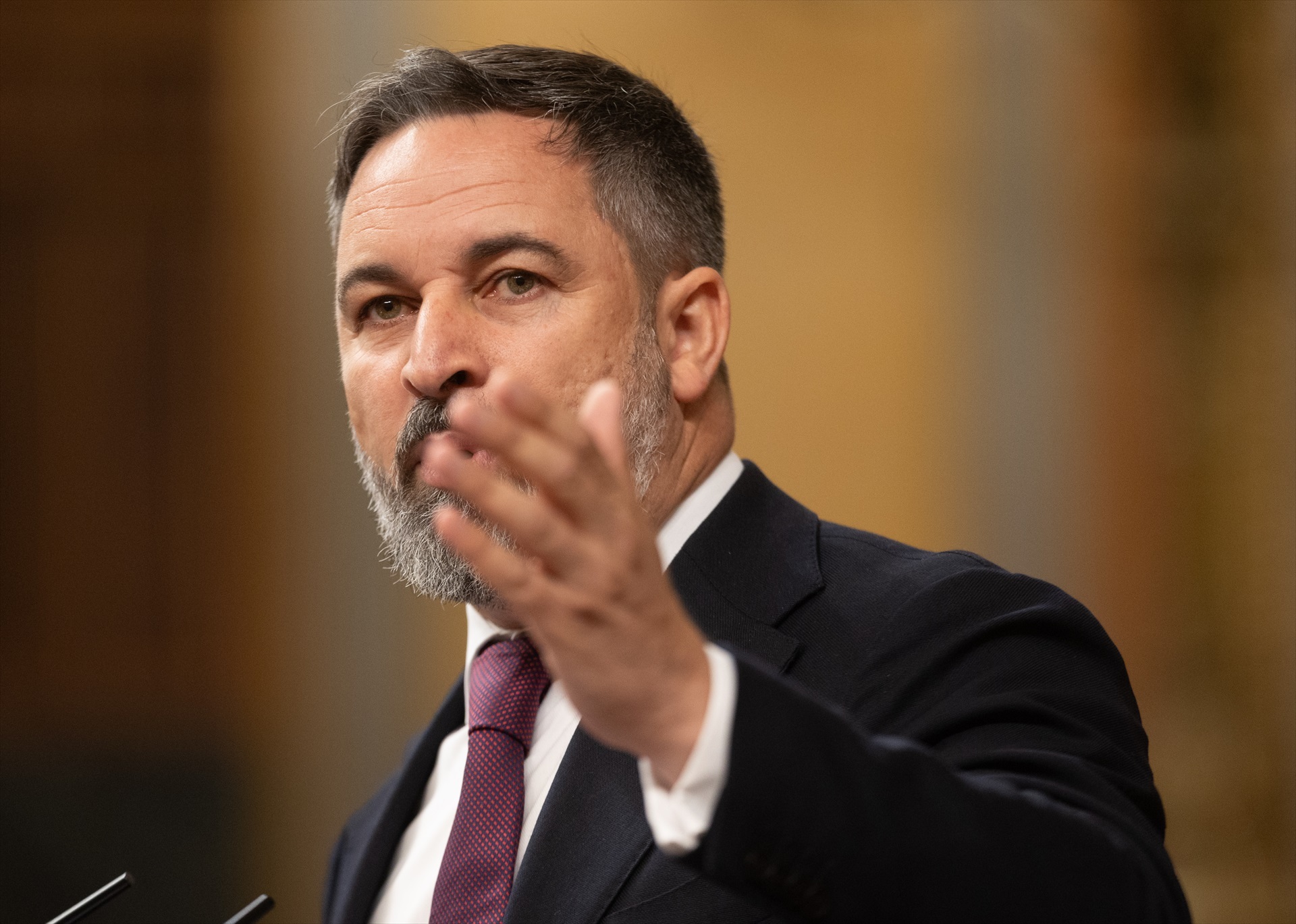 Santiago Abascal, padre por quinta vez: "Orgulloso y agradecido por una ...