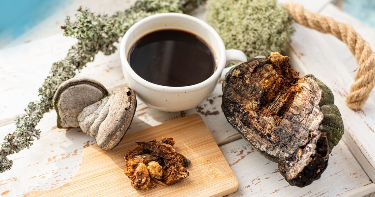 Café de hongos, un producto poco conocido que ha llegado para quedarse