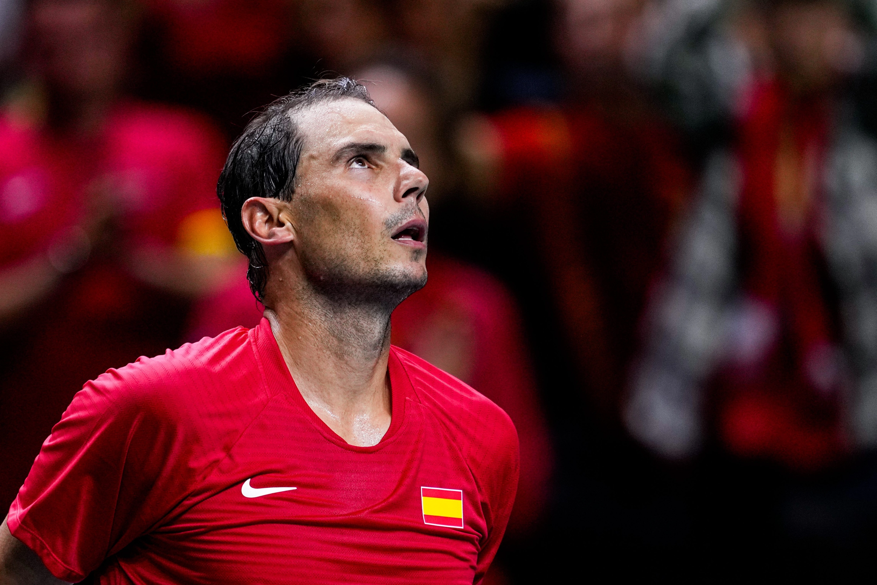 Rafa Nadal, muy autocrítico con su partido en la Copa Davis: "Si yo fuera David Ferrer, no me ...