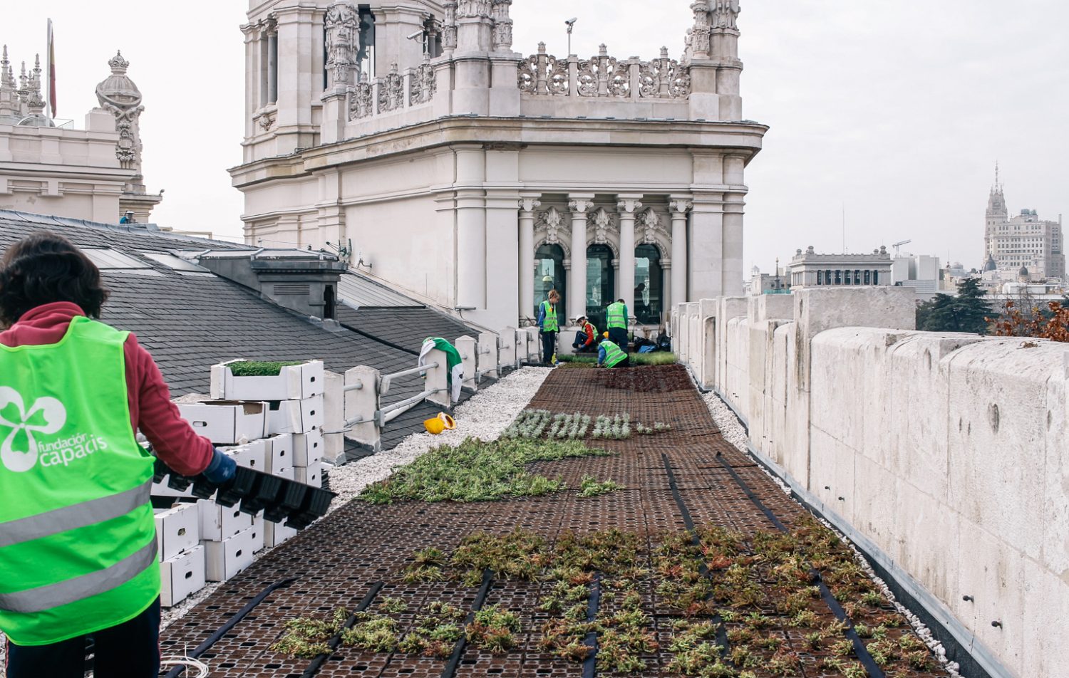 La instalación de jardines en las azoteas de Madrid incluye a sedes ...