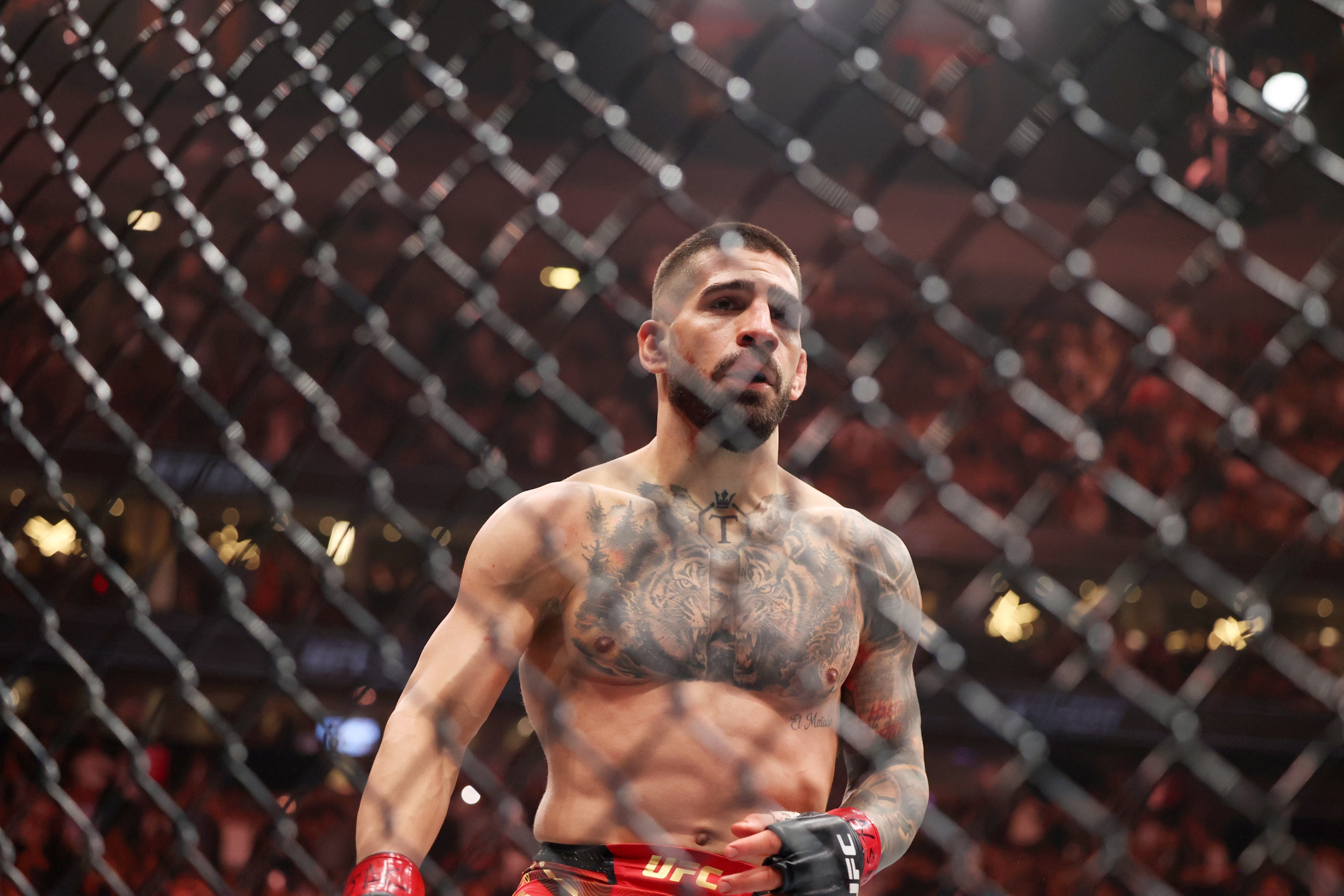 Los mejores memes del KO de Ilia Topuria a Charles Oliveira